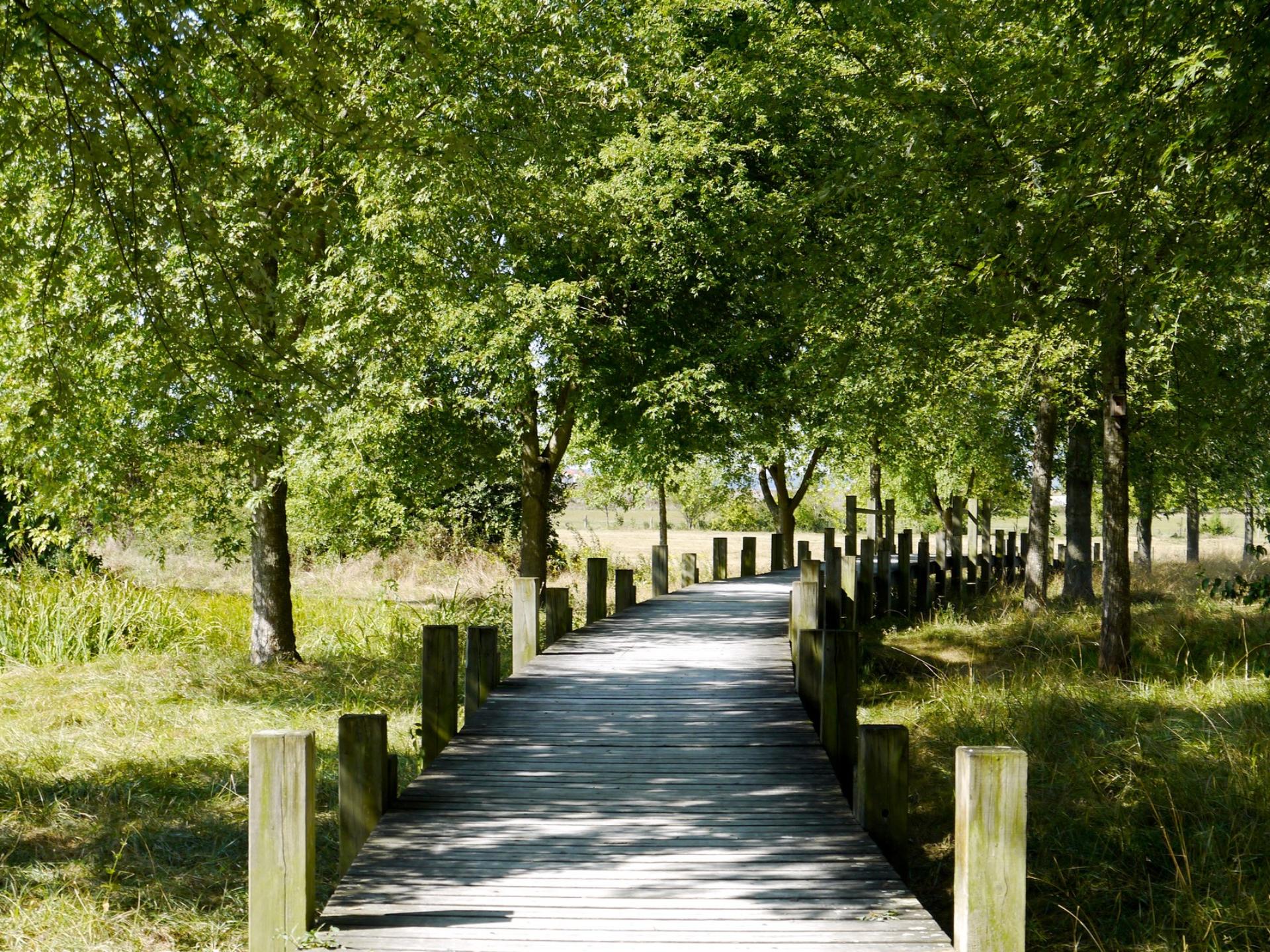 NANCY, die facettenreiche Herzogsstadt | Nancy Tourisme