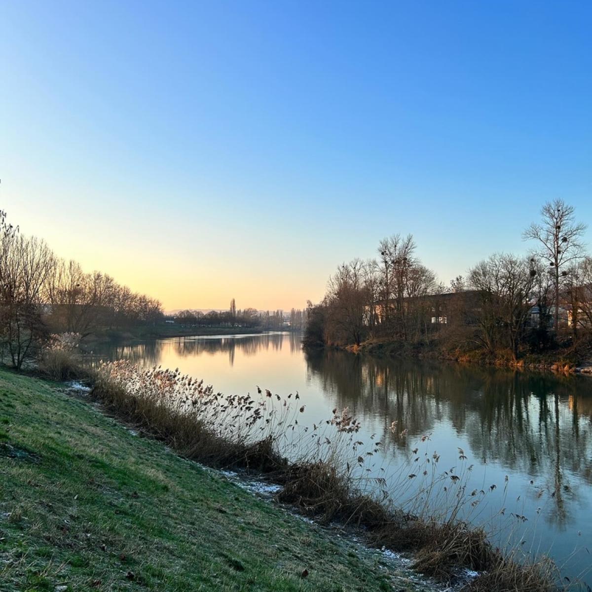 Nancy Tourisme | Office de Tourisme du Grand Nancy